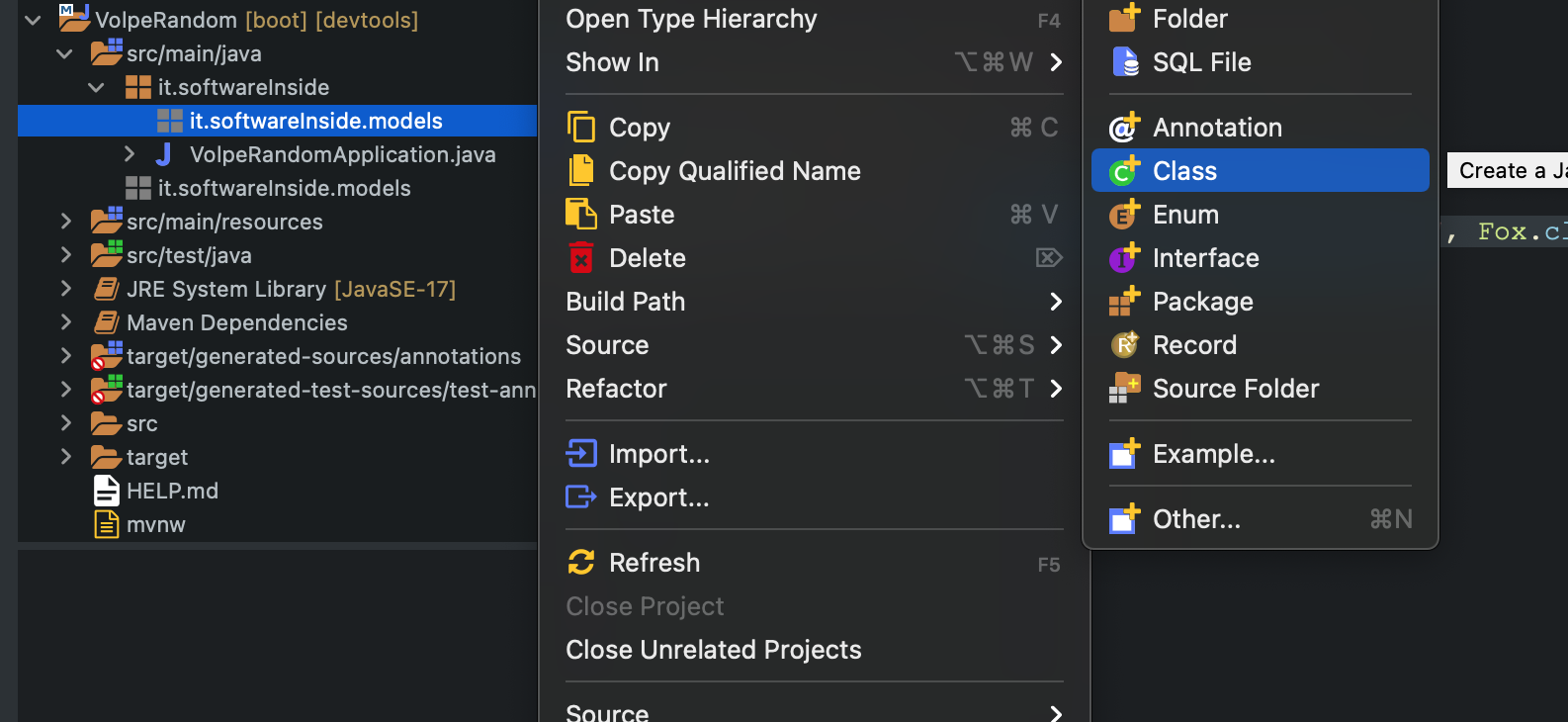 GitHub - norma92/progetto-volpe