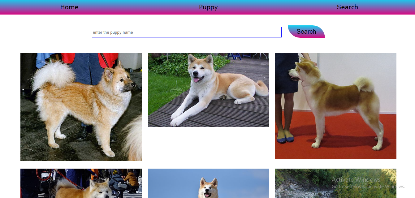 GitHub - RaviRanjan02/Dogs: A website where you can search and get images of different dogs breeds.