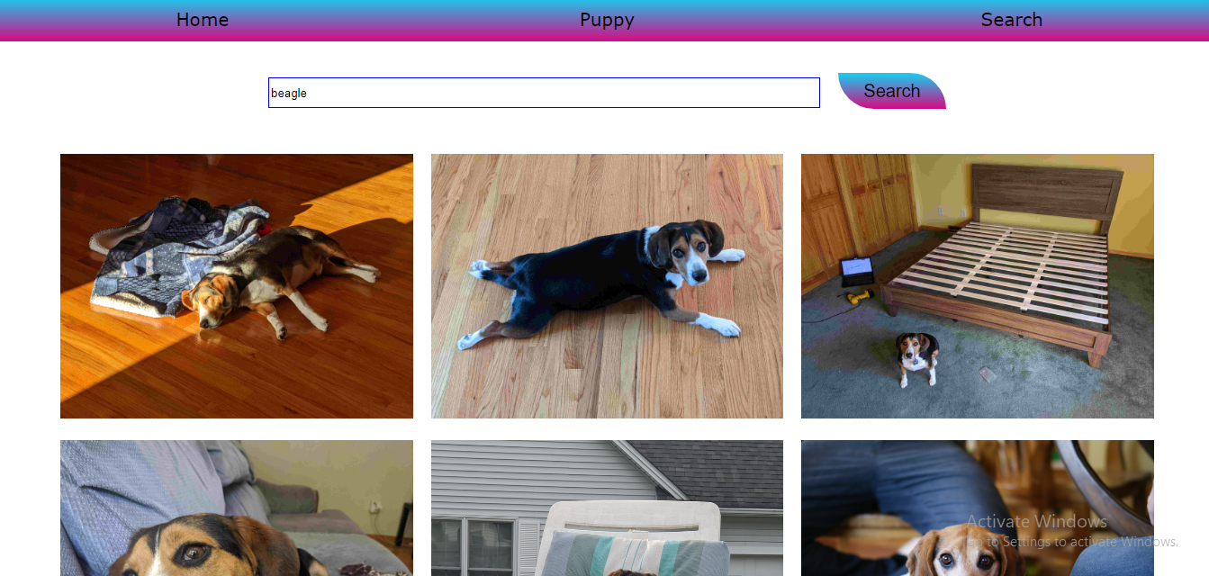 GitHub - RaviRanjan02/Dogs: A website where you can search and get images of different dogs breeds.