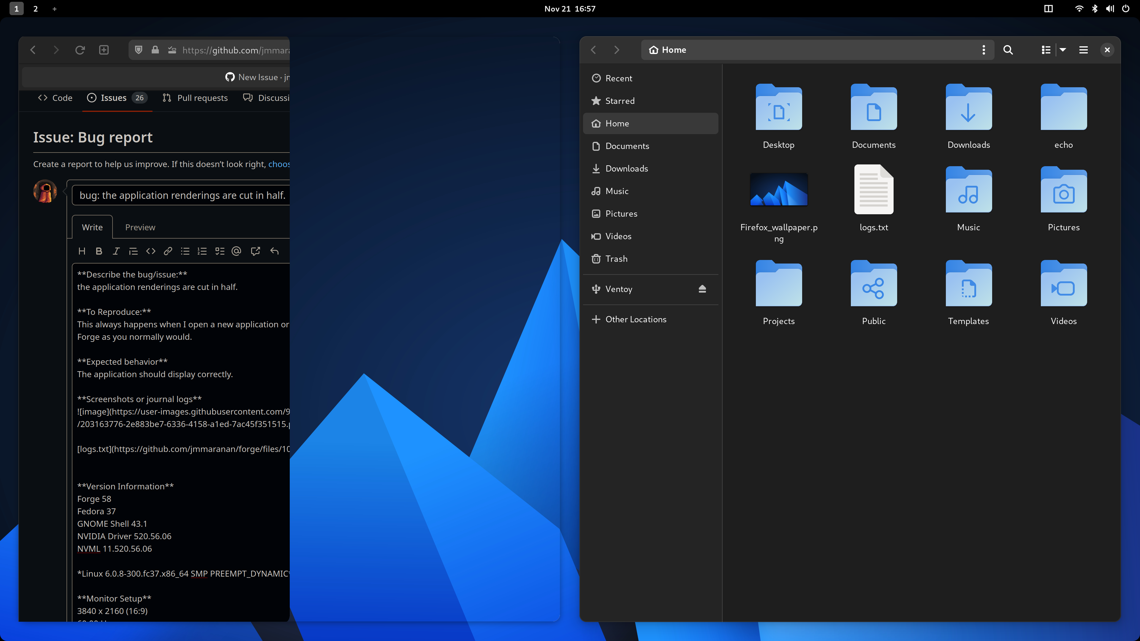 Wayland: Application renderings are cut in half. · Issue #159 · forge-ext/forge · GitHub