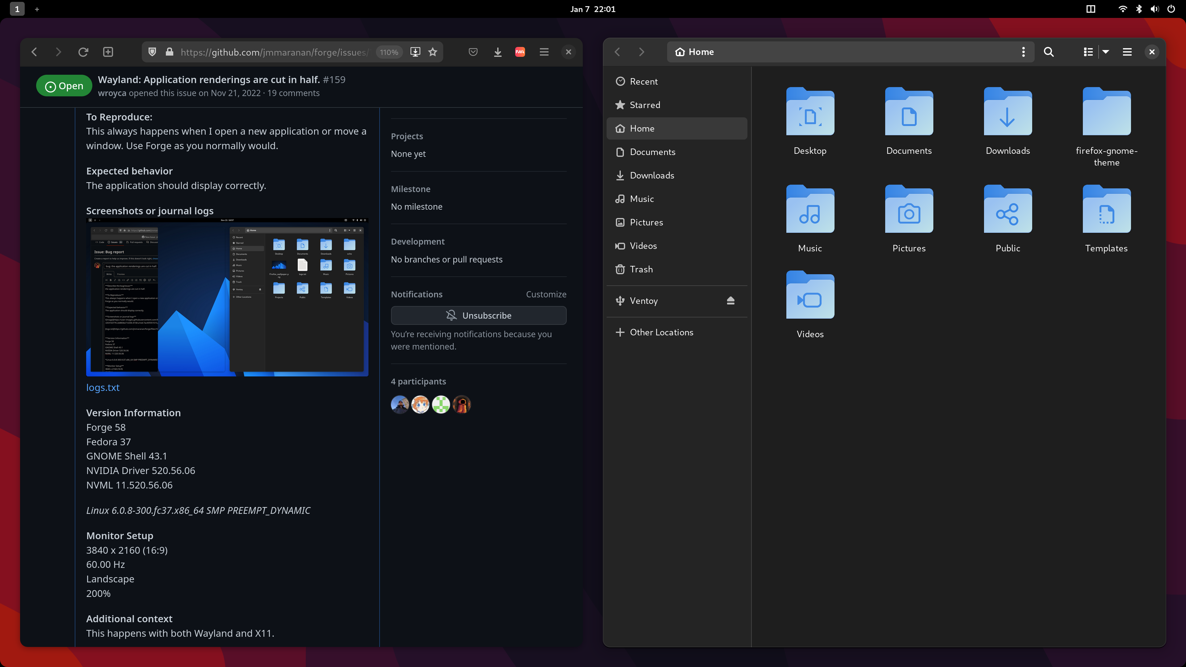 Wayland: Application renderings are cut in half. · Issue #159 · forge-ext/forge · GitHub