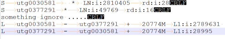 what mean L1: i： in p.utg.gfa ? · Issue #340 · chhylp123/hifiasm · GitHub