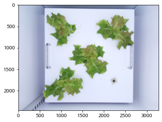 GitHub - teamgaon/KIST