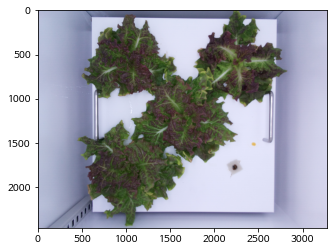 GitHub - teamgaon/KIST