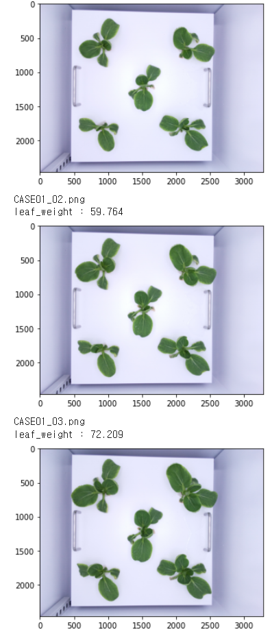 GitHub - teamgaon/KIST