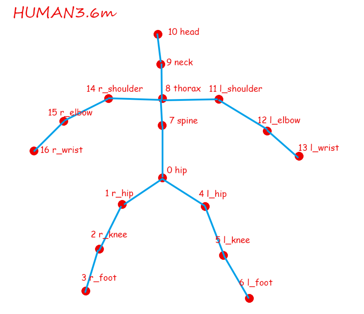 Joint and number · Issue #18 · QitaoZhao/PoseFormerV2 · GitHub
