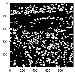 visualizer.draw_dataset_dict draws a segmentation mask for the "unlabeled" semantic category ...