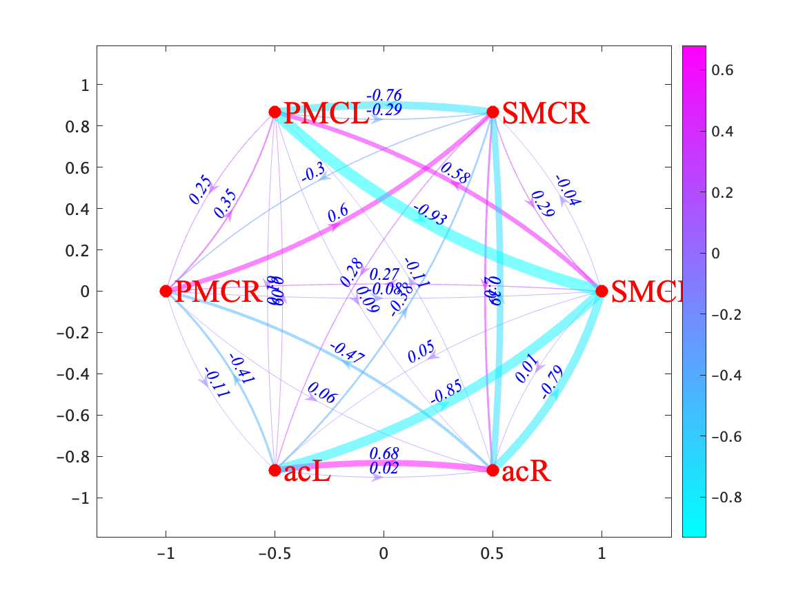 GitHub - ynk-samez/visualizeNetwrok: 因果的結合を可視化するためのMATLAB関数です.