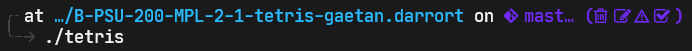 GitHub - Gaetandrt/Tetris