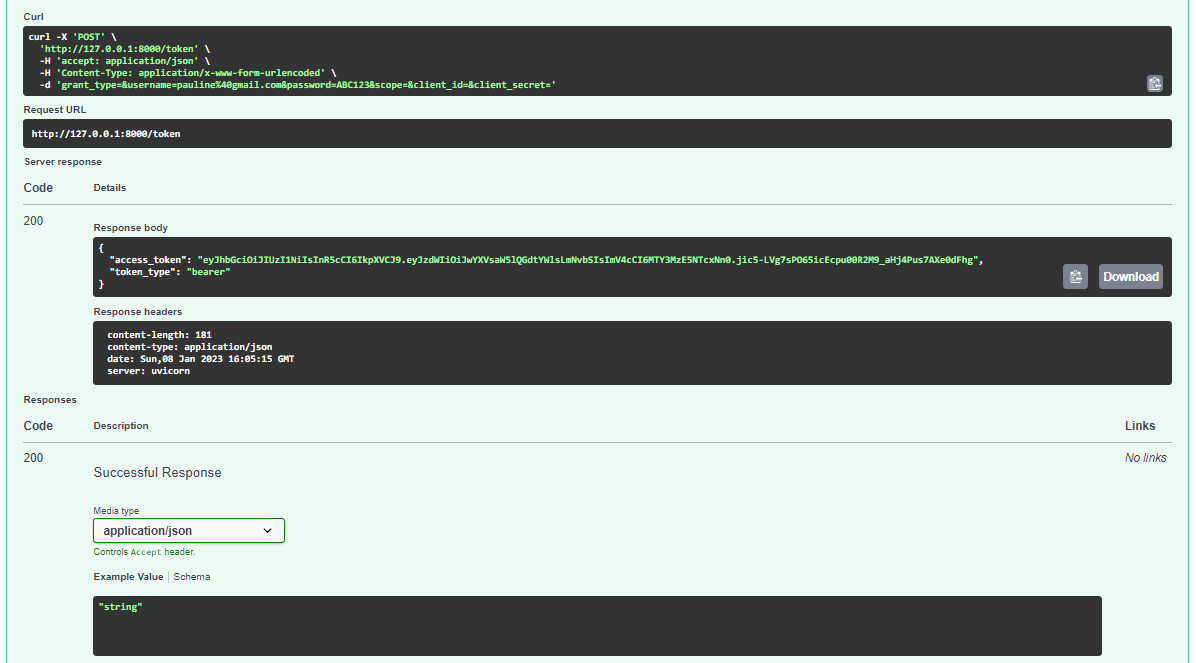GitHub - pvalgaeren/ProjectAPI_Eindeproject