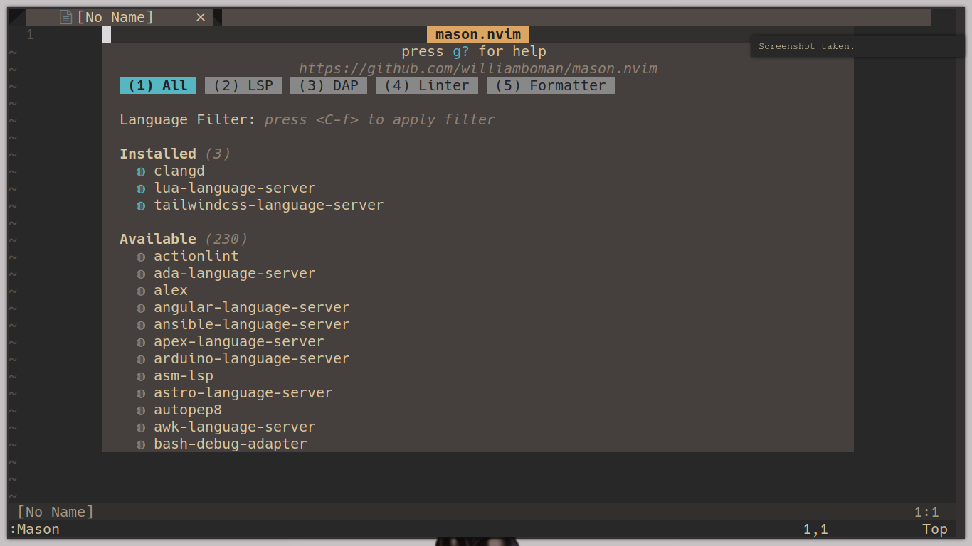 GitHub - Appyouz/neovim-lsp