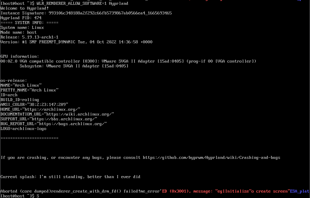 Renderer error · Issue #848 · hyprwm/Hyprland · GitHub