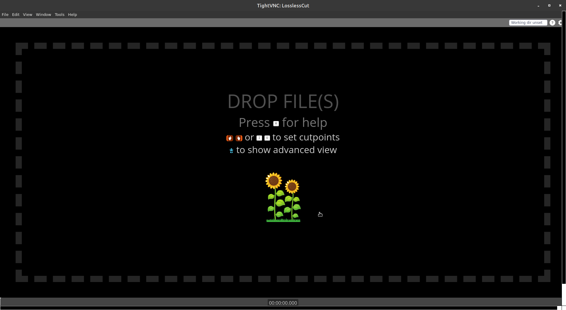 Docker Support · Issue #1086 · mifi/lossless-cut · GitHub