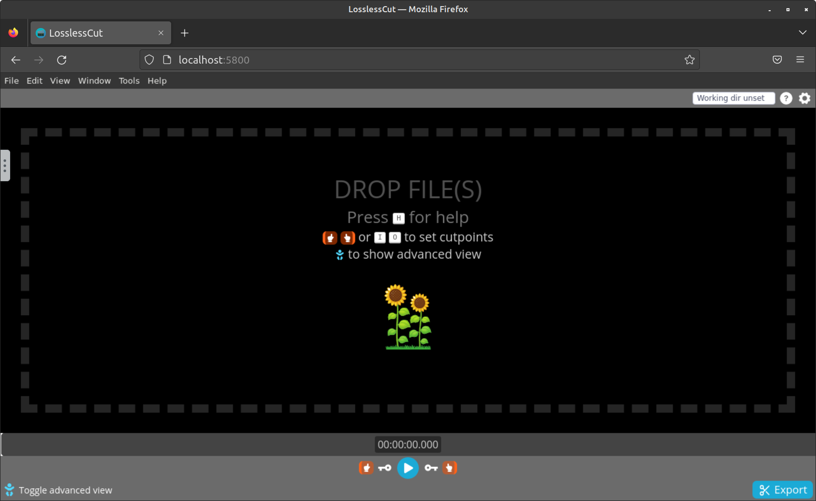 Docker Support · Issue #1086 · mifi/lossless-cut · GitHub