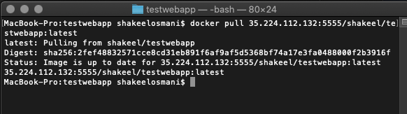 Private Hosted Gitlab Registry No Such Image · Issue 3790 · Portainer