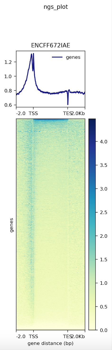 GitHub - Meldanka/hse_hw2_chip
