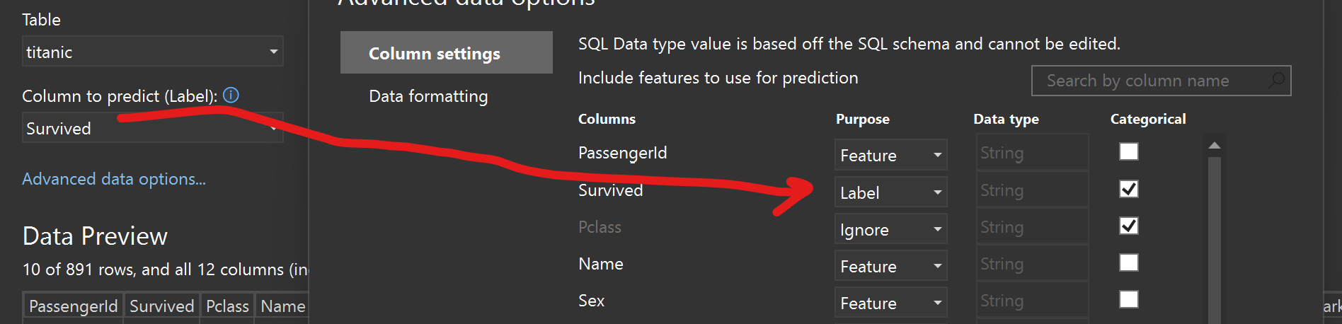 Label Column Purpose In Advanced Data Options Is Set To Feature · Issue