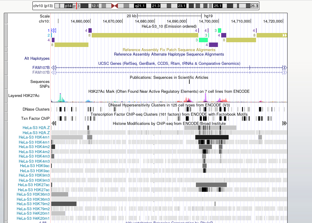 GitHub - daria-pon/hse_hw3_chromhmm