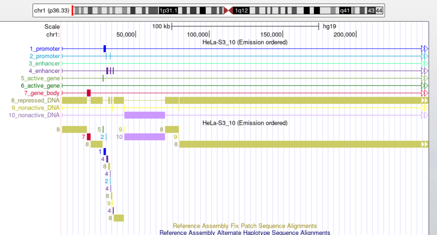 GitHub - daria-pon/hse_hw3_chromhmm