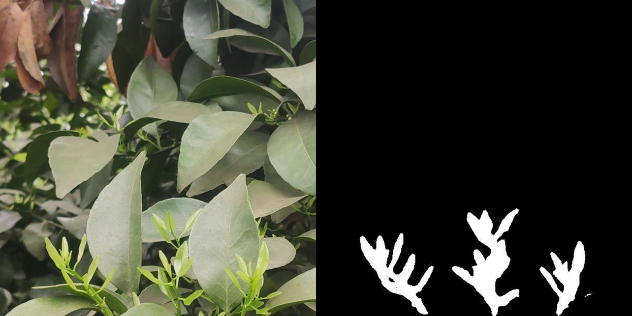 Github Abcnuttersegmentationweb 🍎 This Project Is A Backend Algorithm Framework For Two