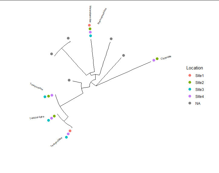 geom_tippoint - increasing space between points · Issue #440 · YuLab ...