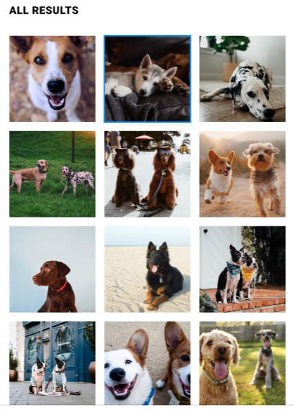 GitHub - kai063/domaci-prace