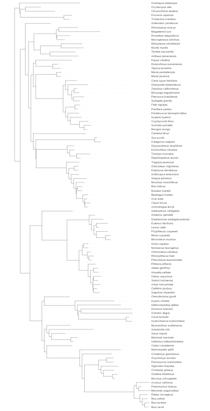 Effect of tree size on the power to detect diversifying selection at a single branch? · Issue ...