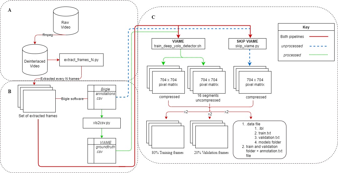 GitHub - Browne1997/Browne-et-al.-2022: support of publication