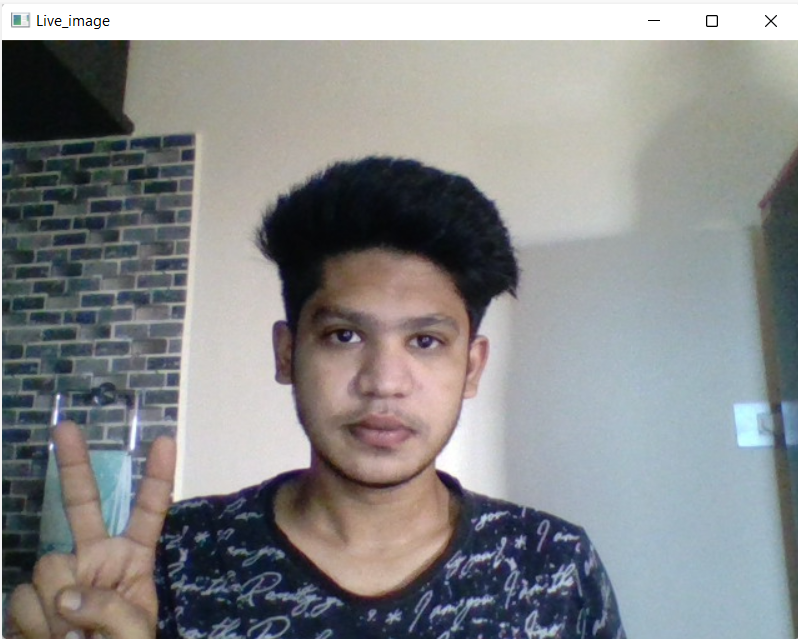 GitHub - Vamc-44/LIVE-to-Sketch: A simple computer vision program used to convert the live ...