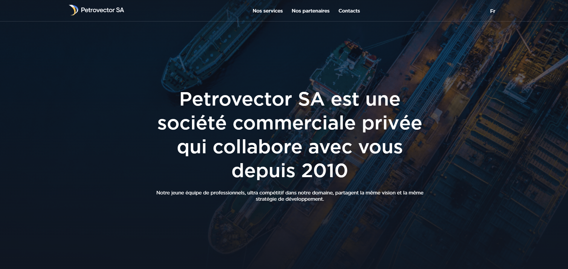 GitHub - MrXproMrX/Petrovector-Nuxt