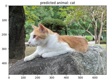 GitHub - woodong11/Cat_vs_Dog_classifier: 캐글 cat-vs-dog 데이터셋 활용, ResNet 모델을 활용한 개 고양이 분류기입니다.