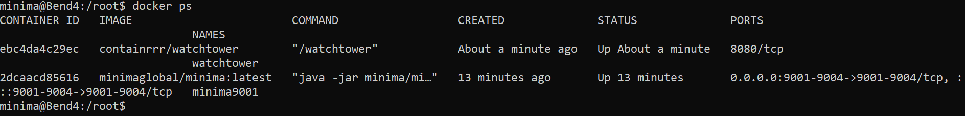 GitHub - RudanSetiawan/Minima-Docker: Update Minima