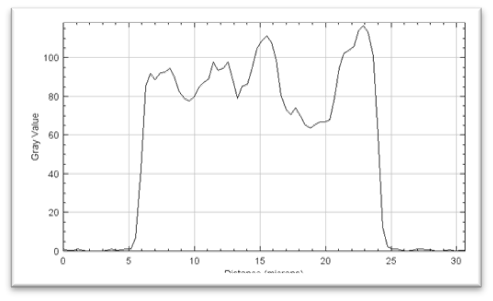 GitHub - prubiocosta/3D-cell-segmentation-with-ImageJ