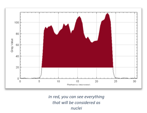 GitHub - prubiocosta/3D-cell-segmentation-with-ImageJ