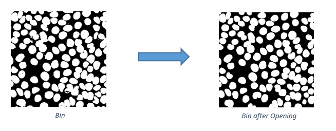GitHub - prubiocosta/3D-cell-segmentation-with-ImageJ