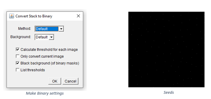 GitHub - prubiocosta/3D-cell-segmentation-with-ImageJ