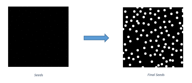 GitHub - prubiocosta/3D-cell-segmentation-with-ImageJ