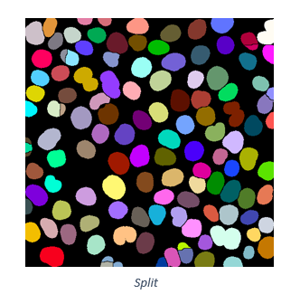 GitHub - prubiocosta/3D-cell-segmentation-with-ImageJ