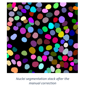 GitHub - prubiocosta/3D-cell-segmentation-with-ImageJ