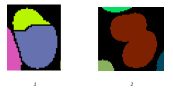 GitHub - prubiocosta/3D-cell-segmentation-with-ImageJ