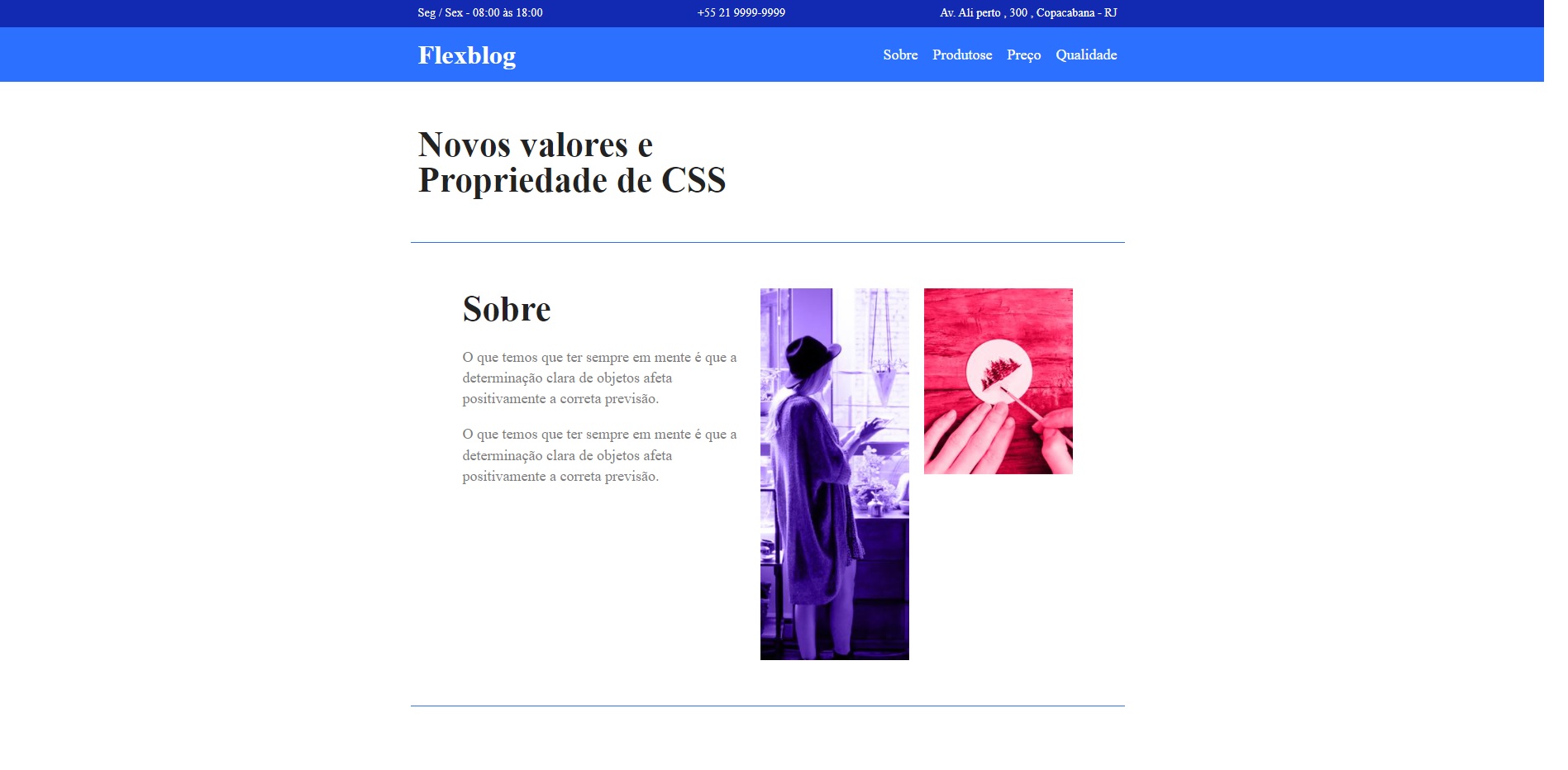 GitHub - AndersonS1/Flexbox: Neste projeto, utilizei HTML / CSS.