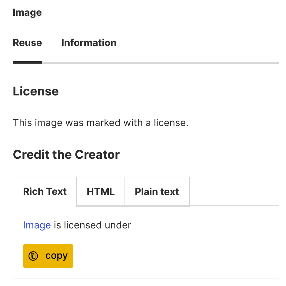 [Bug] Image details missing on client-side route to detail view · Issue #352 · WordPress ...