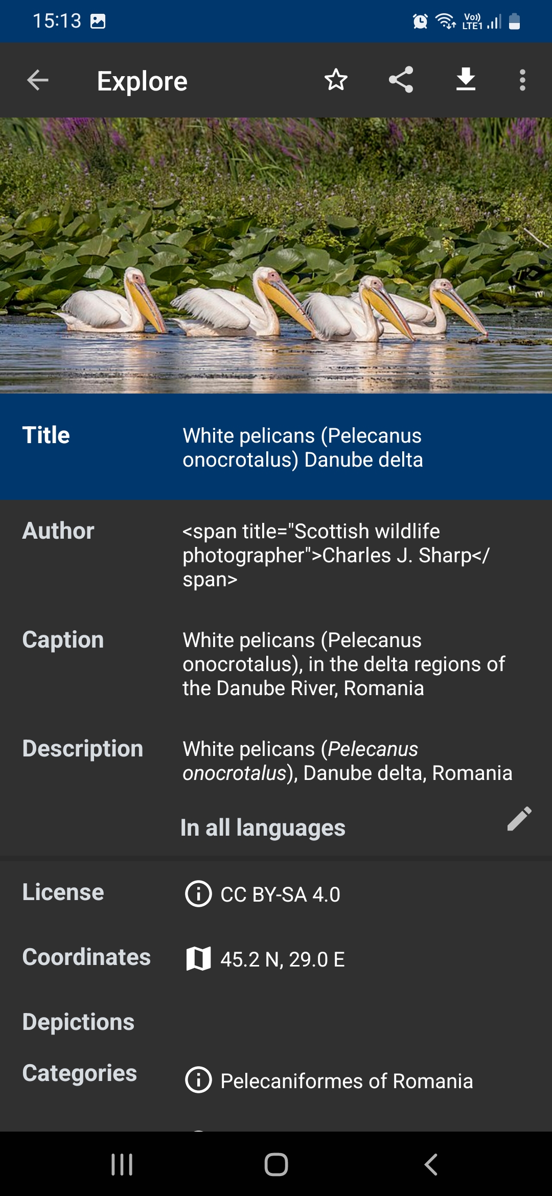 Author Field Sometimes Shows Html Tags · Issue 5050 · Commons App Apps Android Commons · Github