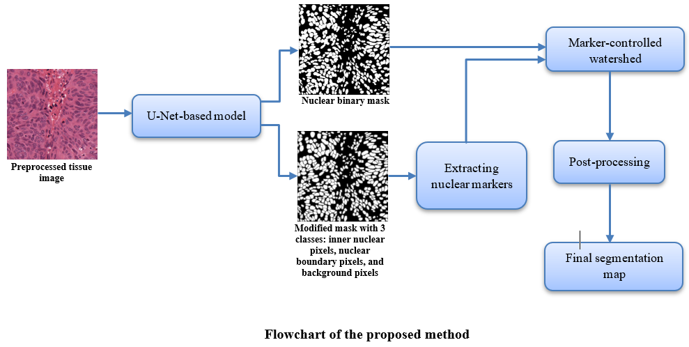 GitHub - amin-sj/nuclei-segmentation: nuclei segmentation using deep learning
