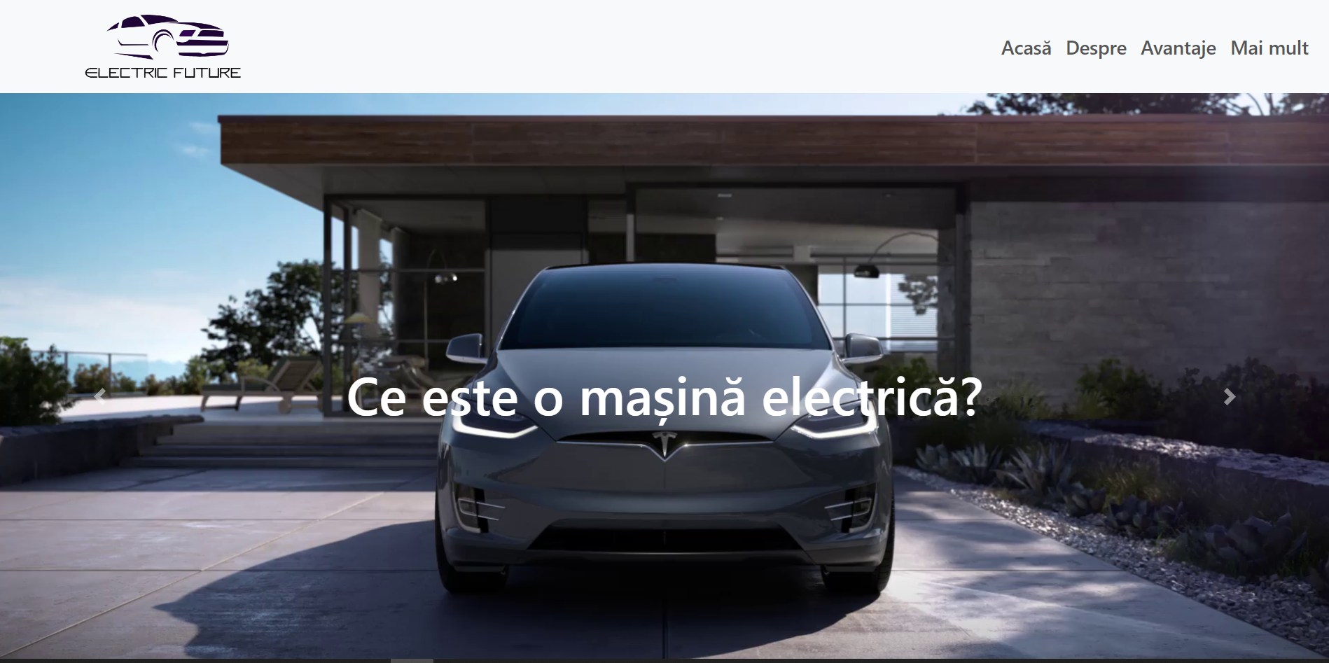 GitHub - simona-sidau/Electric-Future