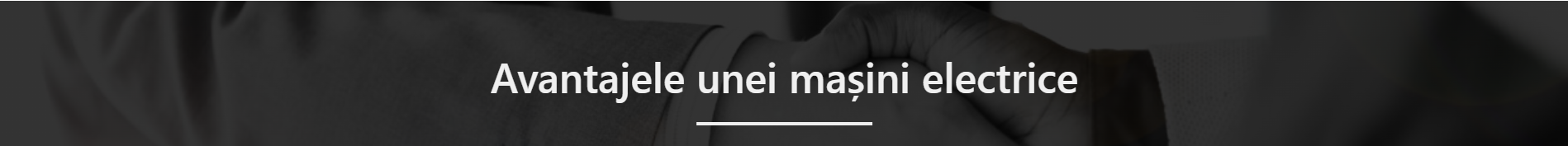 GitHub - simona-sidau/Electric-Future