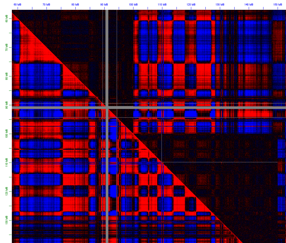 Issues with drawing Pearson correlations using JuicerBox · Issue #1022 · aidenlab/Juicebox · GitHub