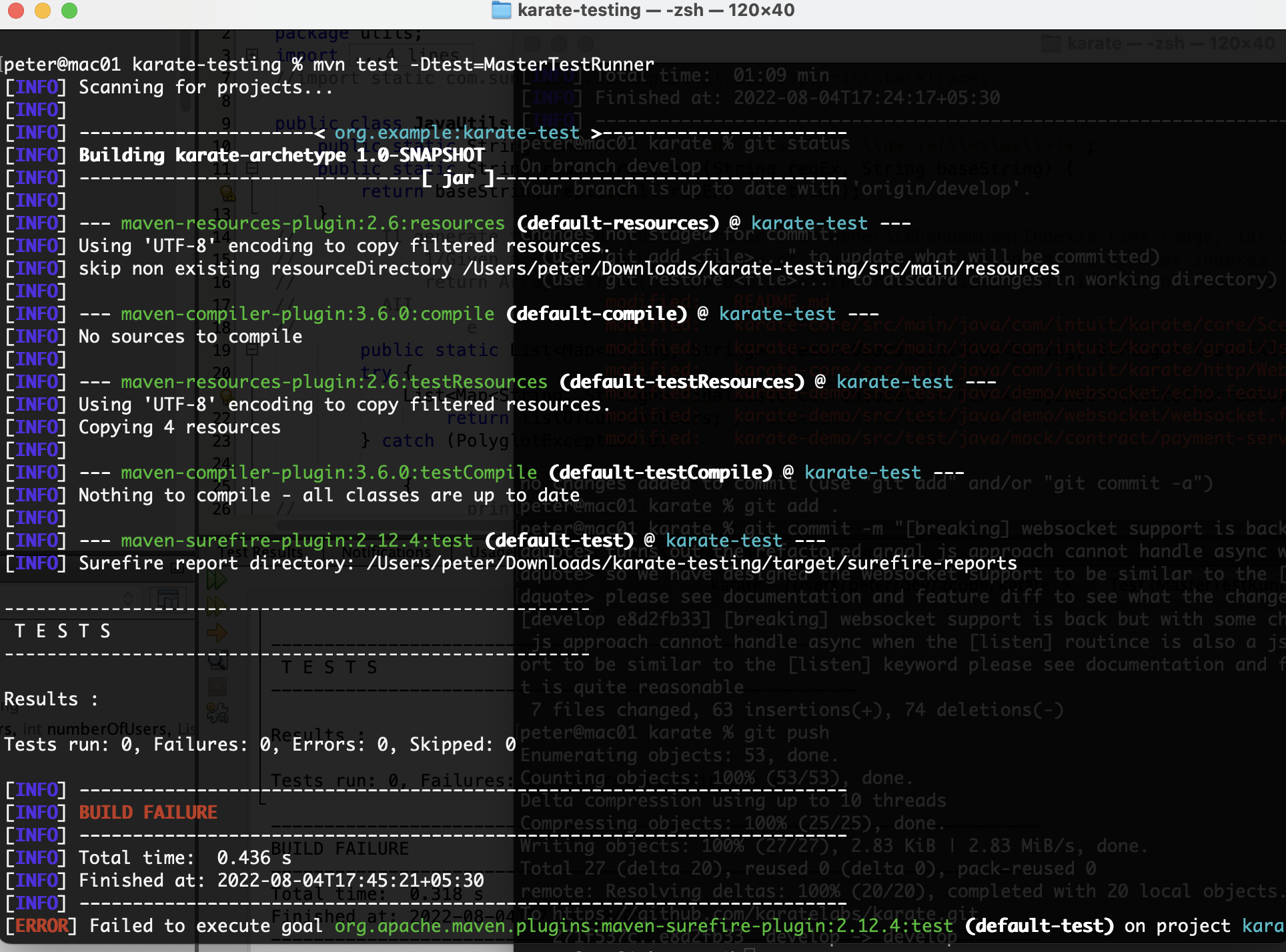 org.graalvm.polyglot.PolyglotException when running through master runner running fine ...