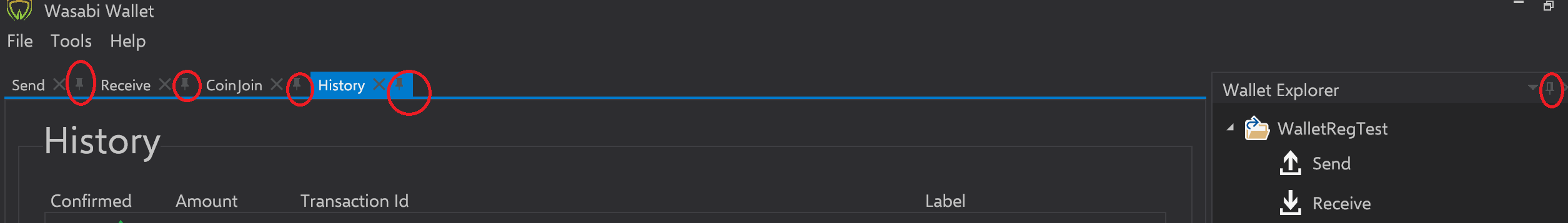Remove the pin · Issue #447 · WalletWasabi/WalletWasabi · GitHub