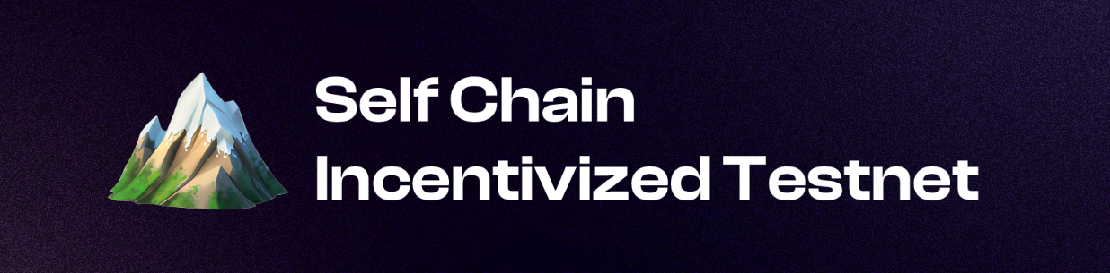 GitHub - molla202/Selfchain